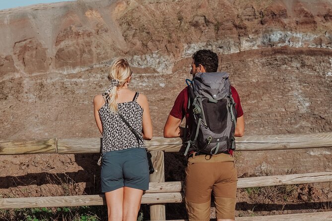 Skip the Line Ticket for Mount Vesuvius - Key Points