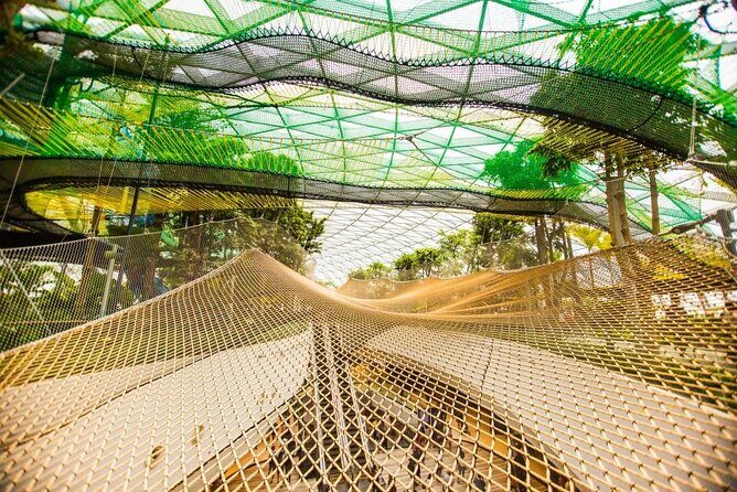 Skip the Line Ticket to Mirror Maze and Canopy Park in Singapore - The Experience in Detail: What to Expect at Jewel Changis Canopy Park