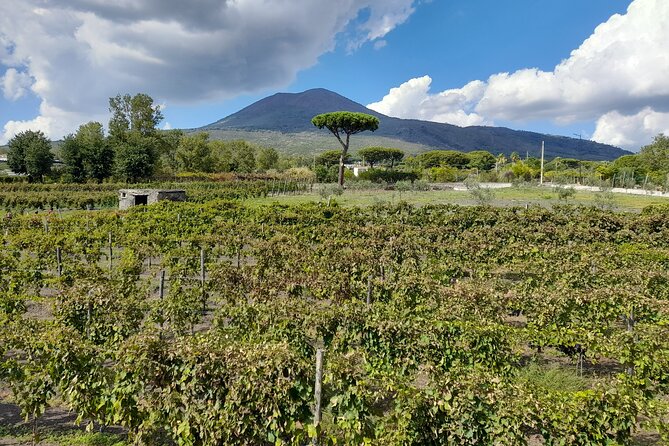 Skip-The-Line Tickets VIP Small Group Tour To Pompei and Vesuvius - Suggestions for Improvement