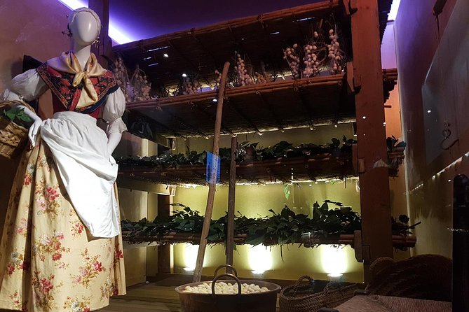 Skip the Line: Valencia Silk Museum Ticket Entrance - Overview of the Silk Museum Experience