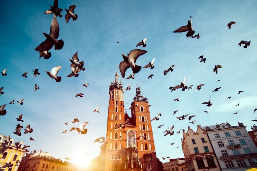 Skip the Line Wawel Castle Chambers Small Group Tour - FAQ