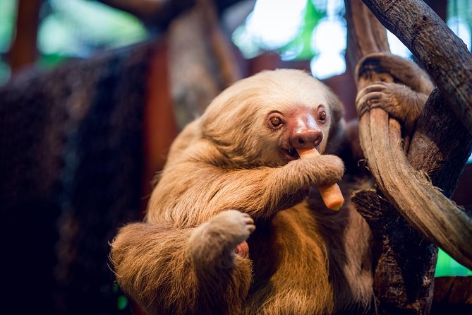 Skip the Line:Day Ticket-La Paz Waterfall Gardens Nature Park & Wildlife Refuge - Navigating the Visitor Experience and Amenities