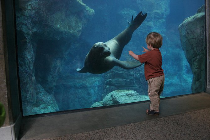 Skip the Ticketing Line: Aquarium of the Pacific General Admission Ticket - Visitor Reviews and Feedback