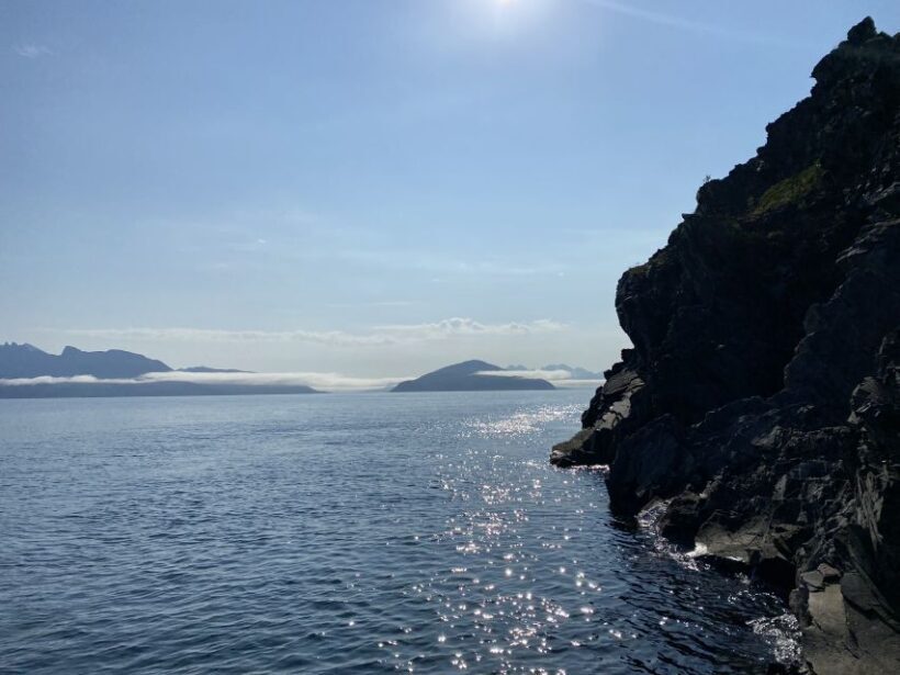 Skjervøy: Birds and Wildlife of Arctic Norway - What Reviewers Say