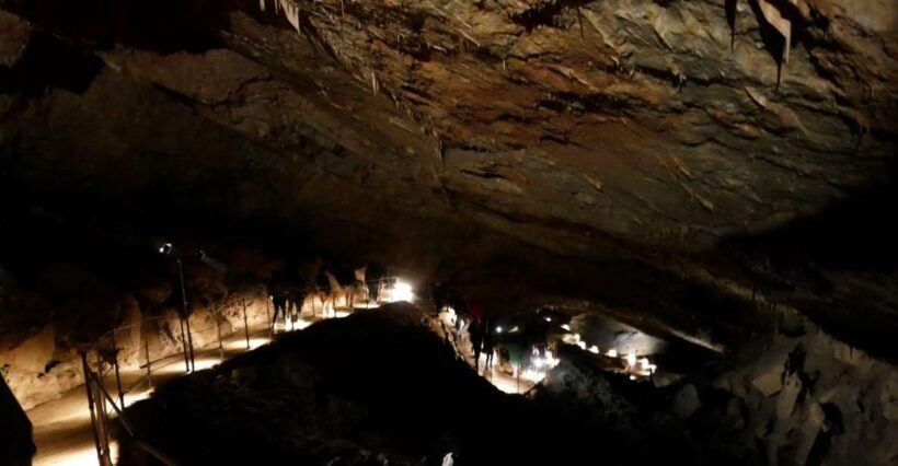 Skocjan cave day tour from Ljubljana - Key Points