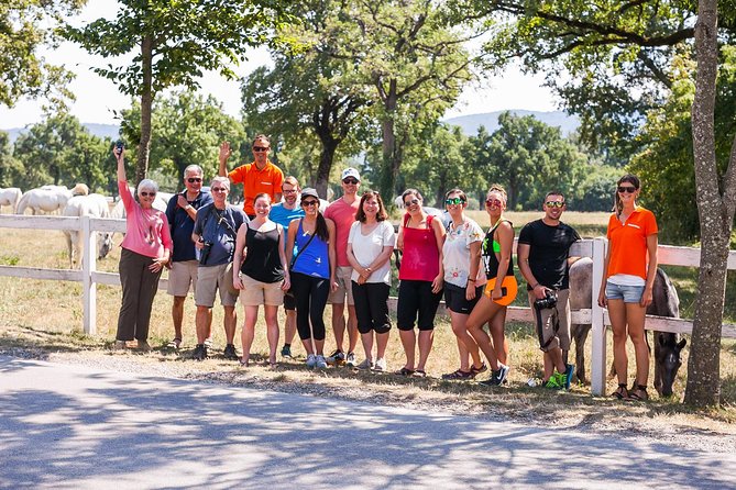 Skocjan Caves, Lipica & Piran: Karst & Coast Small-Group Day Trip from Ljubljana - Who Will Love This Tour?