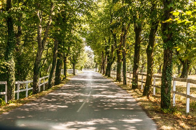 Skocjan caves, Piran & Predjama castle | Private trip from Ljubljana - FAQ