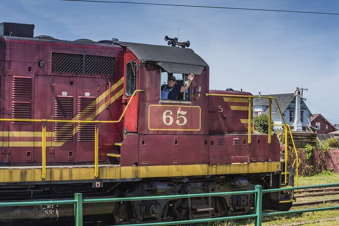 Skunk Train: Pudding Creek Express from Fort Bragg - Who Should Consider This Tour?