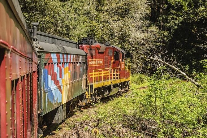 Skunk Train: Wolf Tree Turn from Willits - Who Would Love This Tour?