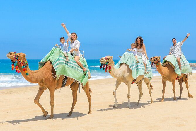 Sky Bike Adventure with Free Camel Ride and Horseback Riding - What You Can Expect from the Sky Bike Adventure