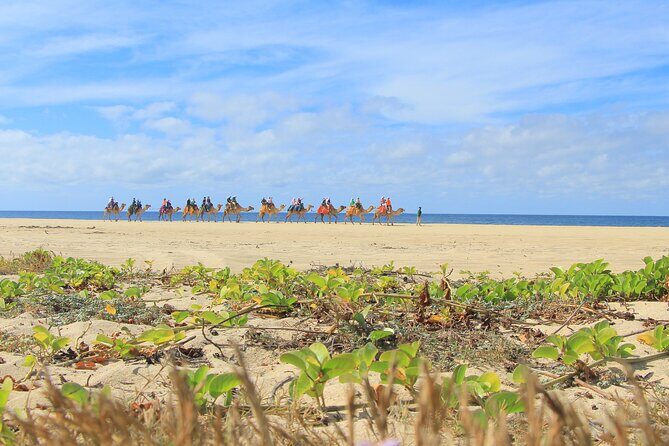 Sky Bike Adventure with Free Camel Ride and Horseback Riding - FAQs