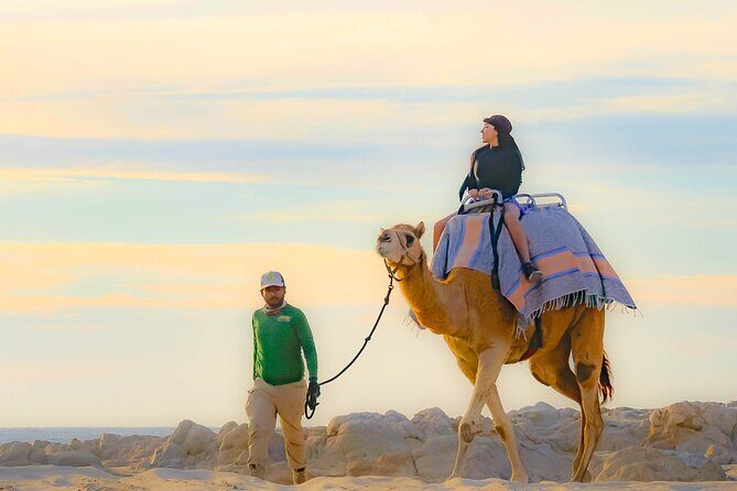 Sky Bike Free Camel Ride and Horseback Riding - The Sum Up