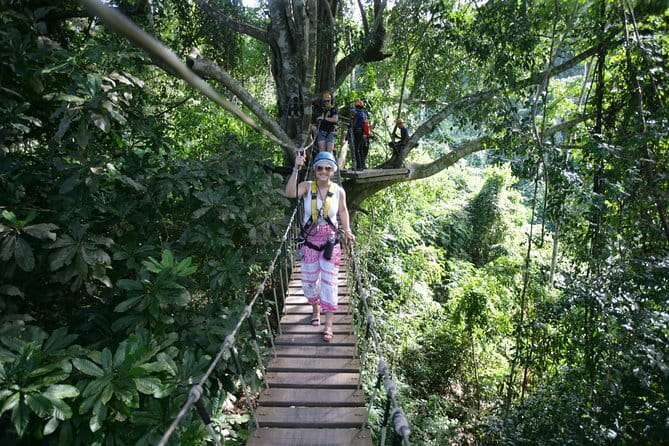 Sky Hawk Zipline Chiang Mai  Ultimate Canopy Adventure - The Logistical Details: Transportation, Group Size, and Cost