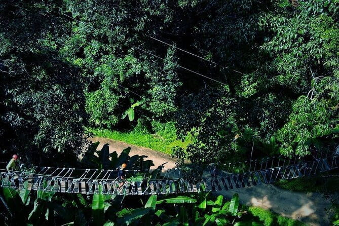 Sky Hawk Zipline Chiang Mai  Ultimate Canopy Adventure - The Experience: Ins and Outs