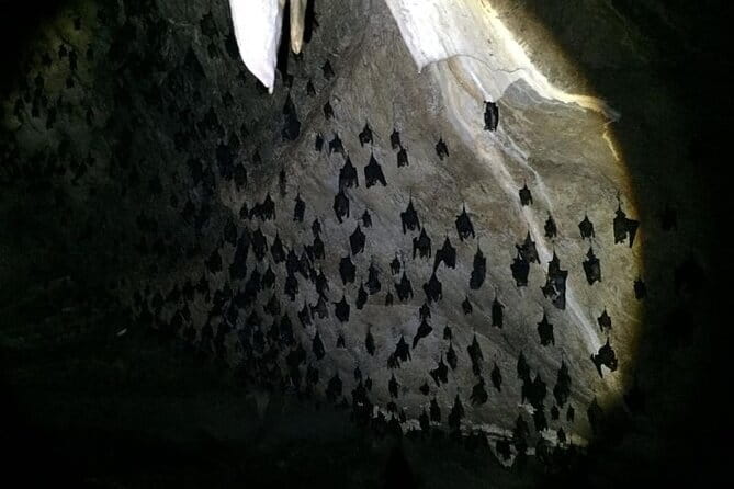 SkyCab & Sky Bridge Discovery Exclusive Private Tour - The Practical Side