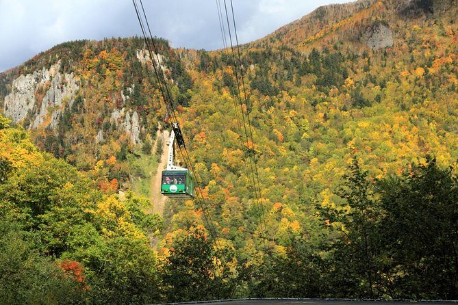 SkyExpress: Autumn Sounkyo Customised Private Day Tour (Up to 8 Passengers) - Who Should Consider This Tour?