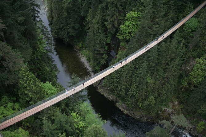 Skyline and Suspension Bridge Adventure Tour - Key Points