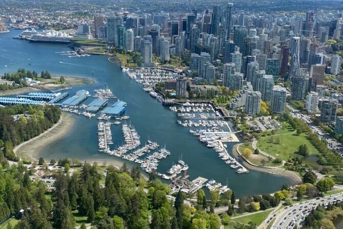 Skyline and Suspension Bridge Adventure Tour - The Sum Up: Who Will Love This Tour?