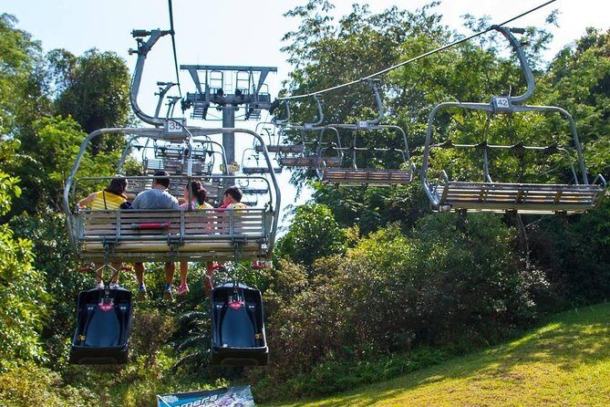 SkylineLuge and Skyride Admission Ticket sentosa island Singapore - Authentic Perspectives from Reviewers