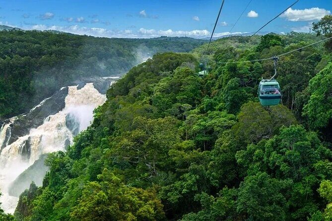 SKYRAIL CABLEWAY TRANSFER between Port Douglas & Skyrail (RETURN) - Key Points