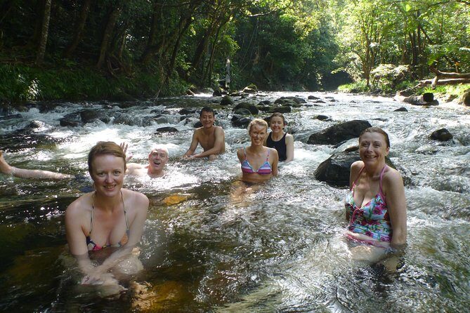 SKYRAIL CABLEWAY TRANSFER between Port Douglas & Skyrail (RETURN) - Who Should Consider This Tour?