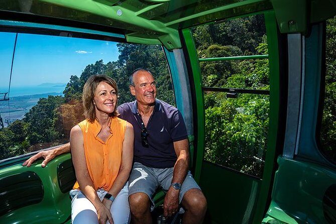 Skyrail Rainforest Cableway Day Trip from Palm Cove - A Deep Dive into the Experience