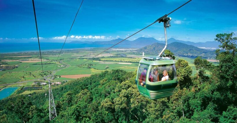 Skyrail Rainforest Cableway Round-Trip Experience - The Experience: What You Can Expect from Start to Finish