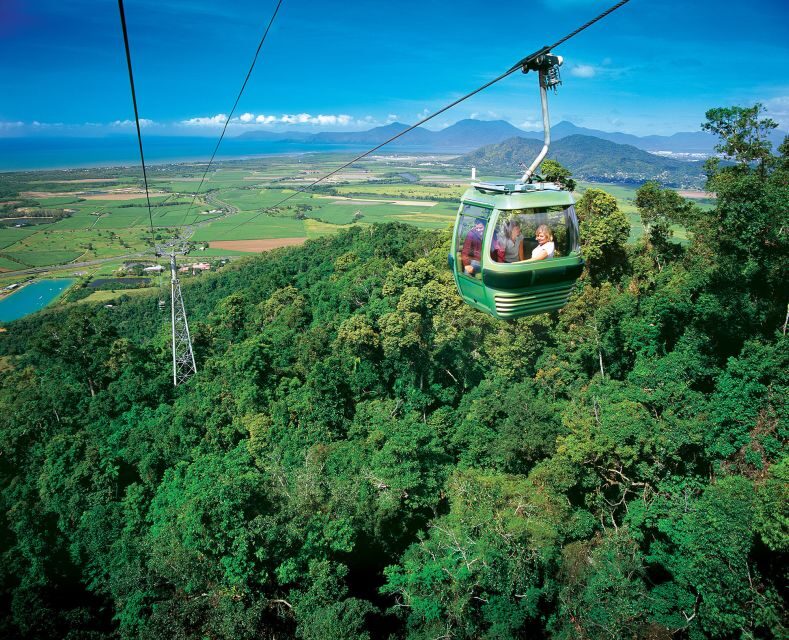Skyrail Rainforest Cableway Round-Trip Experience - Who Will Love the Skyrail Rainforest Cableway?