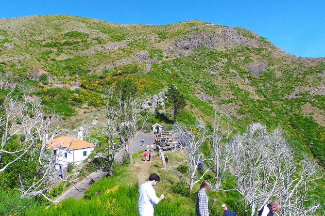 Skywalk and 4x4 Adventure With Amazing Views and Wine Tasting - Madeira Wine Tasting and Local Cuisine