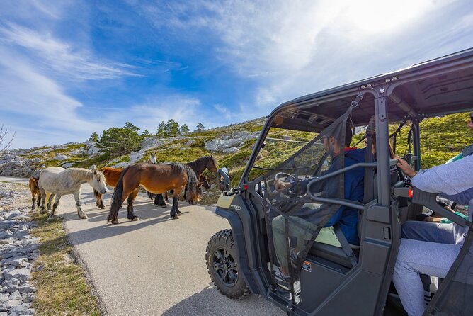 Skywalk Biokovo Tour in Buggys - Buggy Driving Adventure