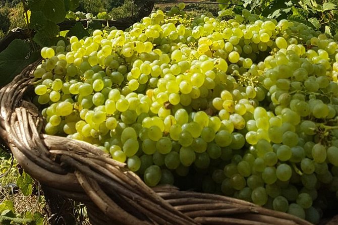 Skywalk with Wines Tasting and Vineyards Half day 4x4 Adventure - What Do the Reviews Say?