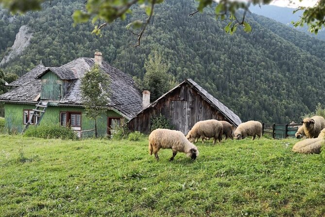 Slanic Salt Mines & Village Charms: Bucharest Day Escape - Summary: Who Is This Tour Best For?