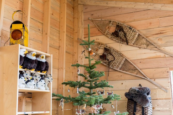 Sled Dog Adventure and Pan for Gold in the Yukon - Getting to the Tour