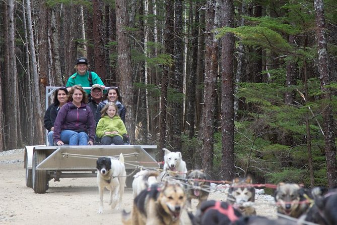 Sled Dog Adventure in Skagway - Final Thoughts