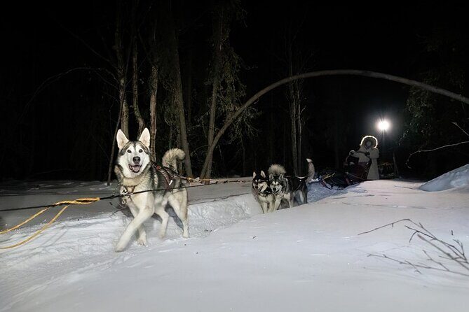 Sledding and Homesteading Adventure - Who Would Love This Tour?
