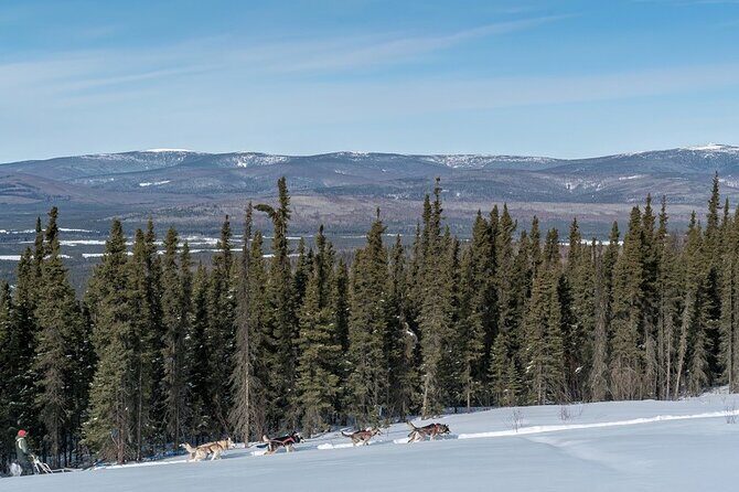 Sledding and Homesteading Adventure - Frequently Asked Questions