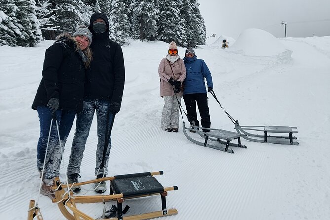 Sledding Cheese Fondue, Chocolate - Pricing and Value