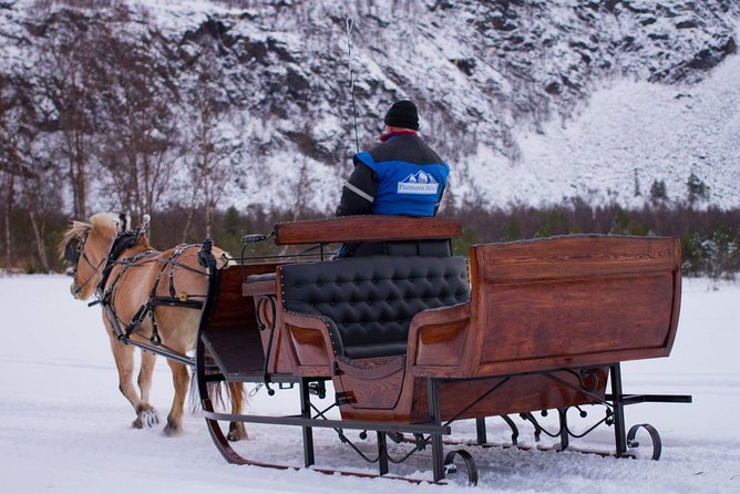 Sleigh Ride in the Arctic Country Side - Key Points