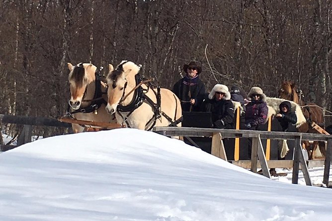 Sleigh Ride W/ Tapas Meal - Experience Arctic Farm Life - Participant Accessibility and Experience
