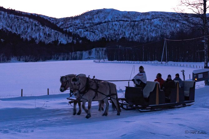 Sleigh Ride W/ Tapas Meal - Experience Arctic Farm Life - Memorable Aspects of the Tour
