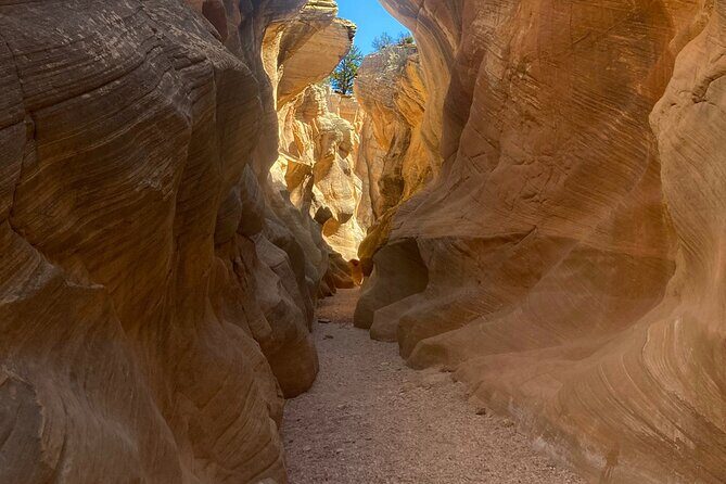 Slot Canyon 2hr tour at Willis Creek - Key Points
