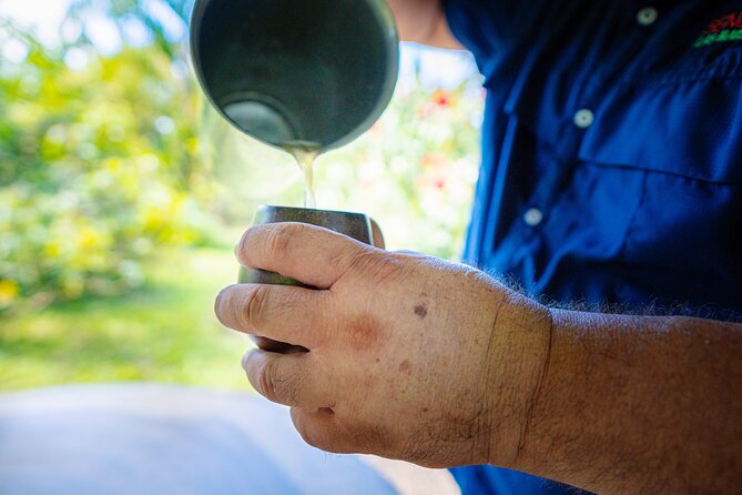 Sloth Tour in La Fortuna and Tortillas Cooking Class - Recommendations and Tips