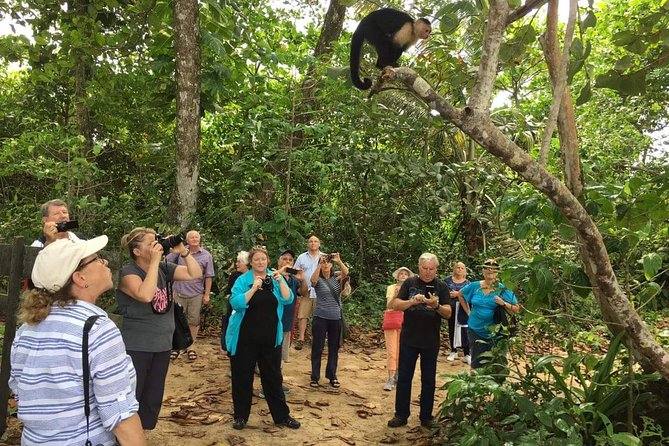 Sloths Lovers Tour. Puerto Limon Shore Excursion - Participant Experiences and Feedback