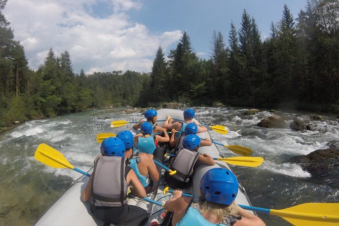 Slovenian Classic - Bled, Kranjska Gora, Planica and Peričnik - Traveler Experiences and Reviews