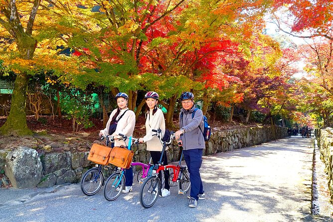 Slow Cycling Tour at Ujis Matcha Green Tea Fields and Heritage - Key Points