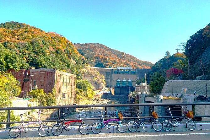 Slow Cycling Tour at Ujis Matcha Green Tea Fields and Heritage - Matcha Green Tea Fields of Uji