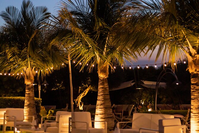 Slow Wine & Tartufo Gelato Tasting Experience - Visiting a Slow Wine-Style Winery