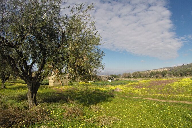 Slow Wine & Tartufo Gelato Tasting Experience - Ending on a Sweet Note: Tartufo Gelato