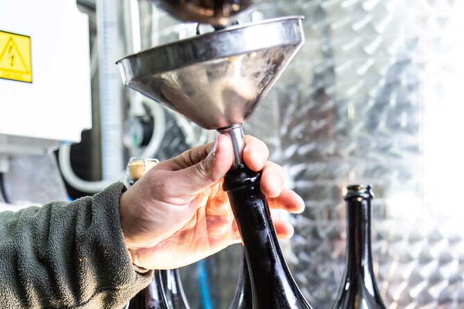 Slow Wine & Tartufo Gelato Tasting Experience - Practical Details and Value