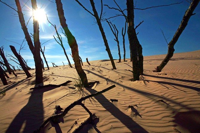 Slowinski National Park Private Tour - The Itinerary in Detail: What to Expect